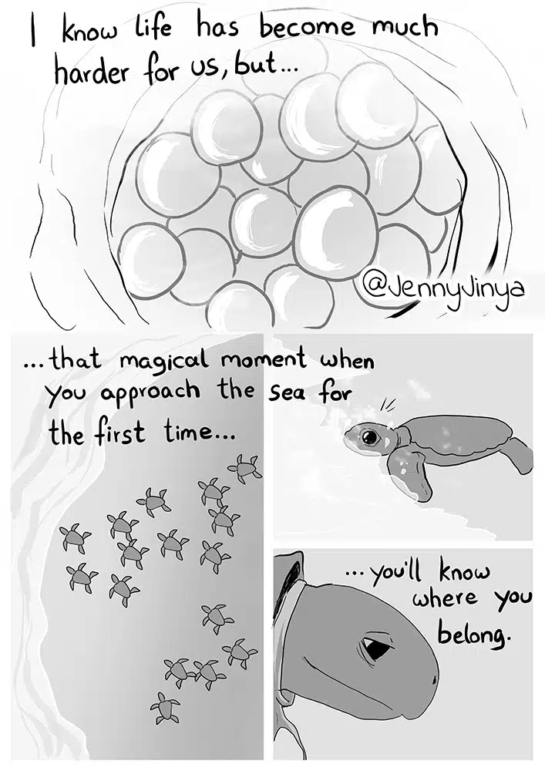 This Sea Turtle Comic by Jenny Jinya Will Make You Cry