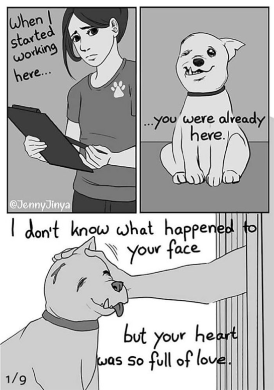 9 Dark and Surprising Pop Culture Grim Reaper Animal Comics