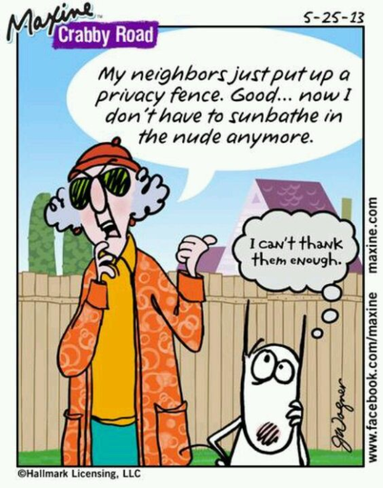 An Old Lady Maxine Makes People Laugh With Her 20 Single-Panel Cartoons