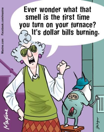 20 Humorous Maxine Cartoons Bring a Smile to Many People's Faces