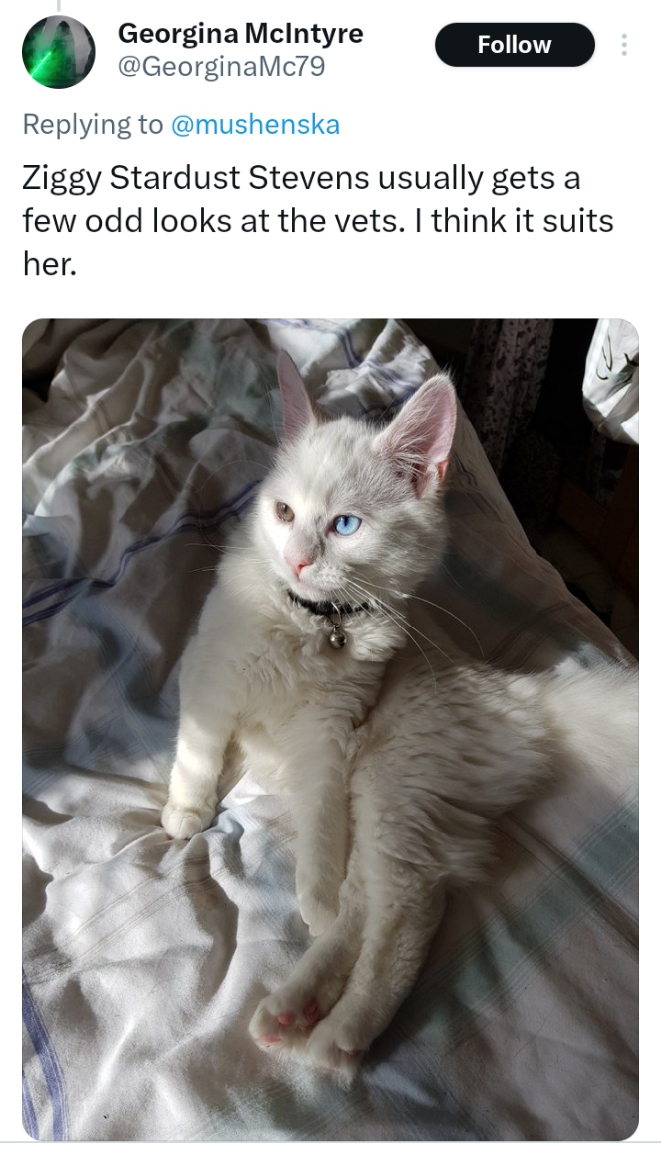 These 25 People Will Brighten Your Day With The Funniest Pet Names They ...