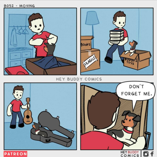 Hey Buddy Comics Summarizes the Daily Life of a Dog Owner (20 Comics)