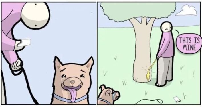 20 Things In Square Comics About The Daily Life Of Animals