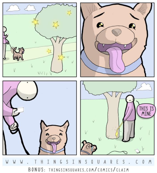 20 Things In Square Comics About The Daily Life Of Animals