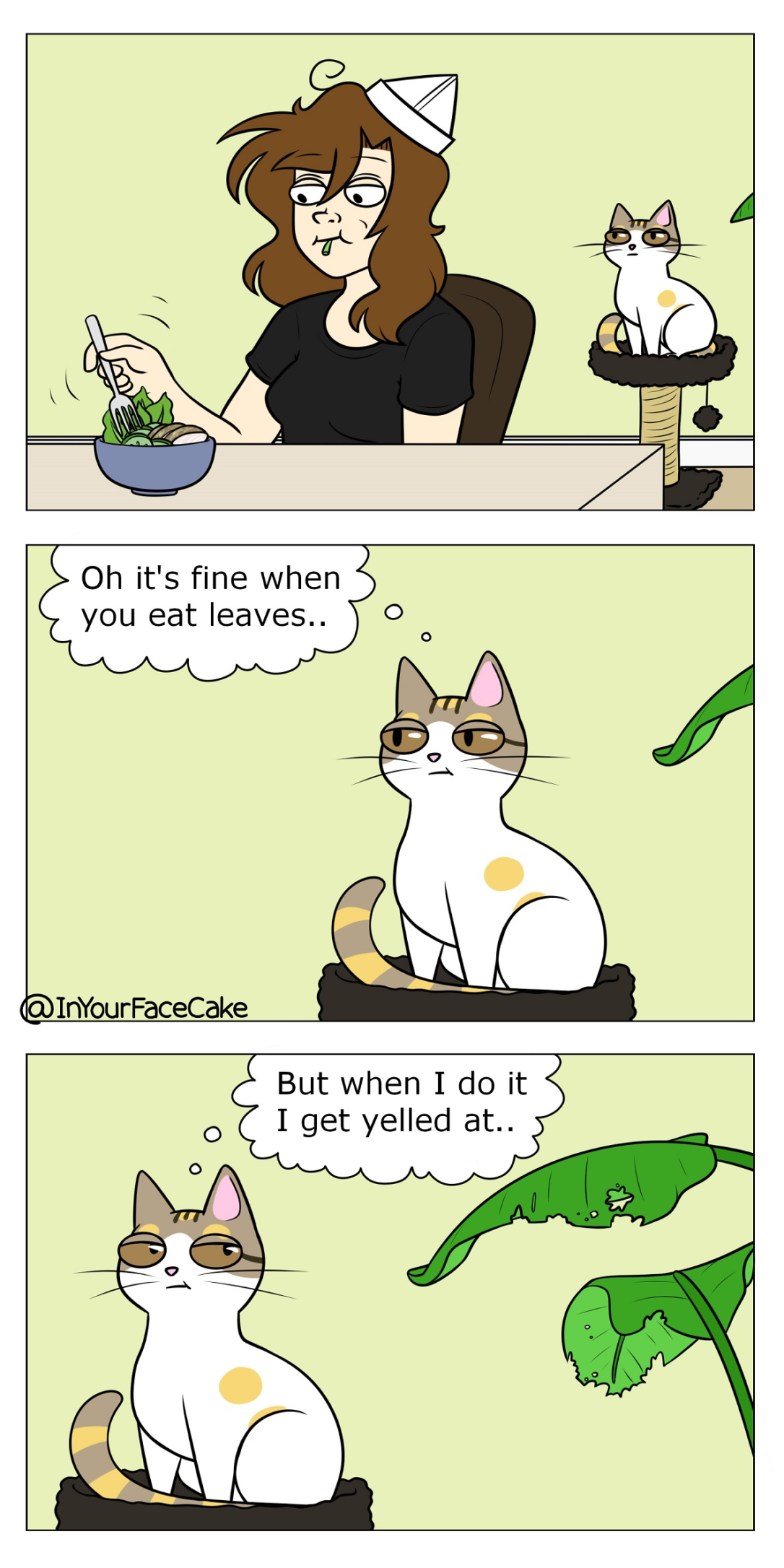 20 Amusing Comics About A Naughty Cat And Her Female Owner