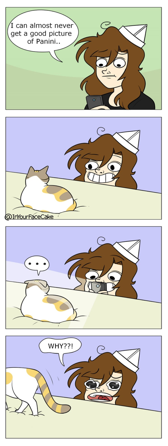 20 Amusing Comics About A Naughty Cat And Her Female Owner