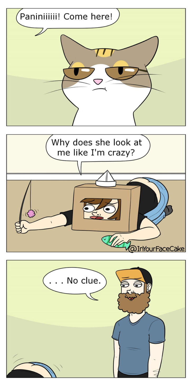 20 Amusing Comics About A Naughty Cat And Her Female Owner