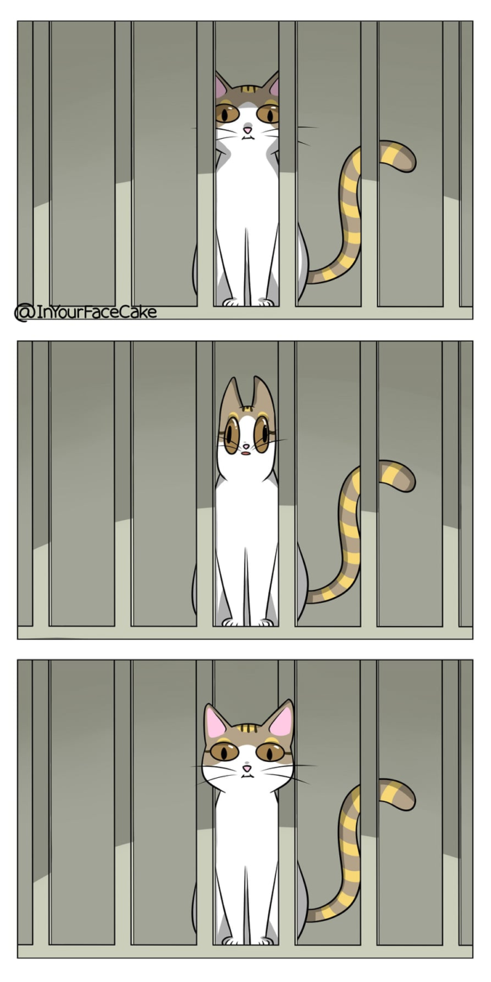 20 Amusing Comics About A Naughty Cat And Her Female Owner