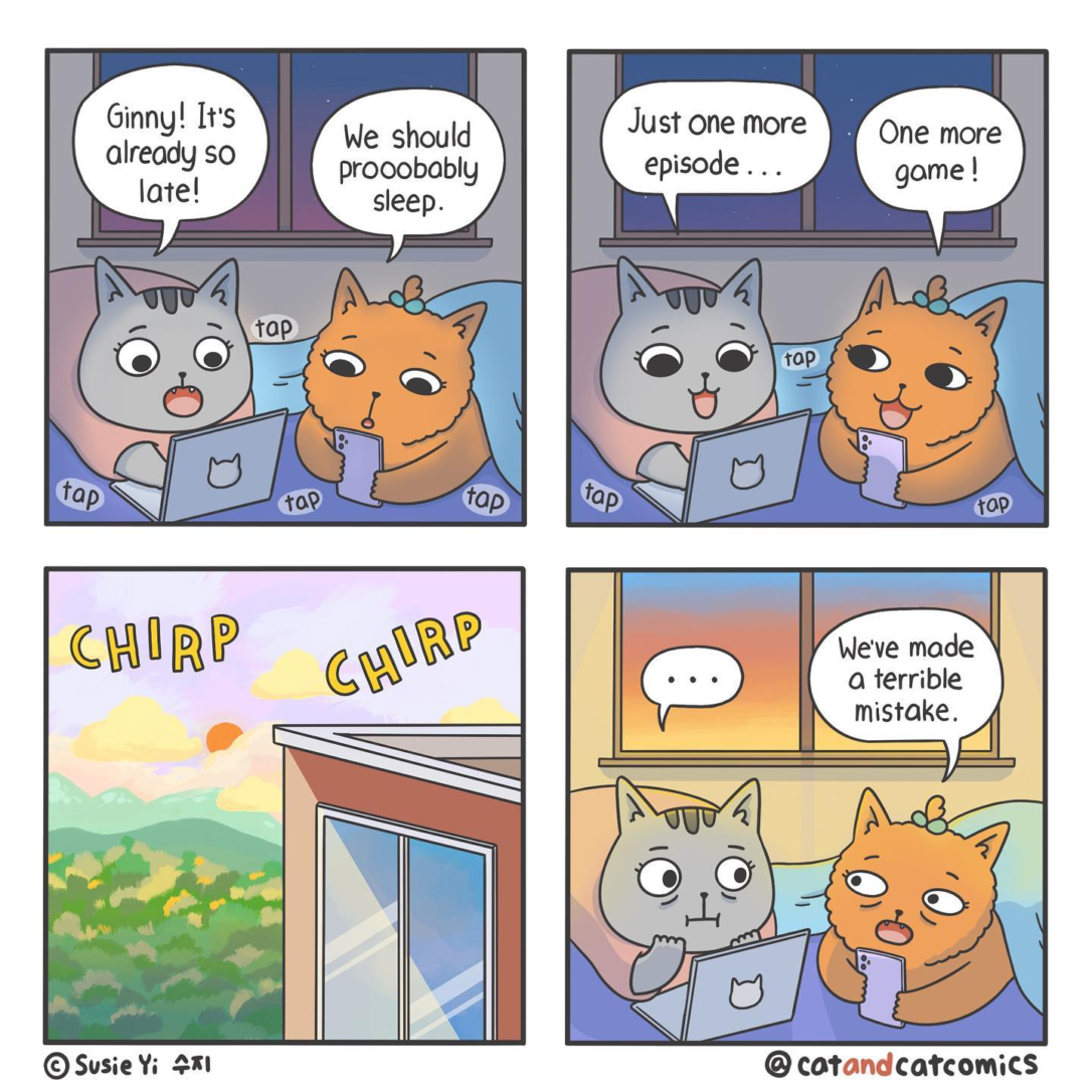 20 Cat & Cat Comics About The Daily Life Of A Group Of Cats