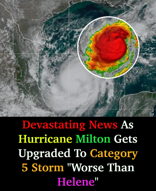 A Blog For Those Who Want To Know The Hidden Facts Behind 20 Images