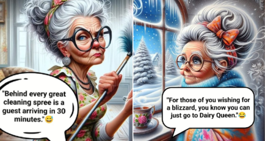 20 Cartoons About An Old Lady Who is Very Funny And Motivational