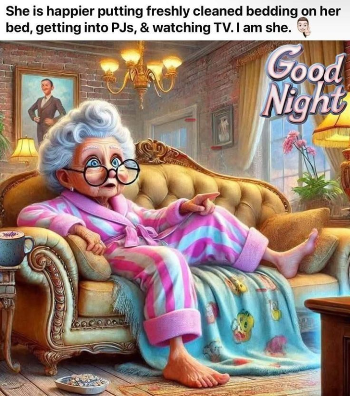 20 Cartoons About An Old Lady Who is Very Funny And Motivational