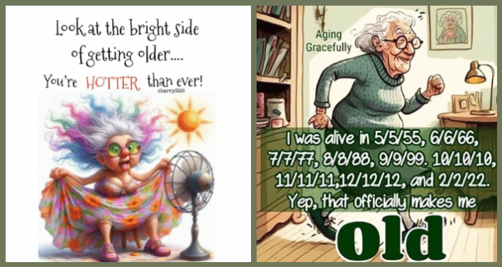 Here are 20 New Humorous Cartoons For Old Age Ladies To Make Them Smile