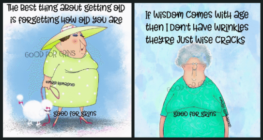 Old Ladies Can Have A Good Laugh After Watching These 20 Amusing ...