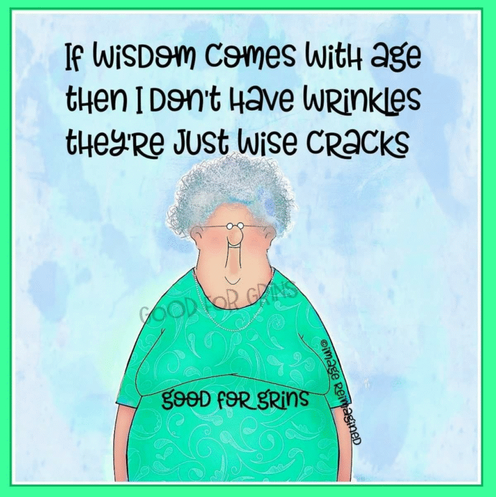 Old Ladies Can Have A Good Laugh After Watching These 20 Amusing ...